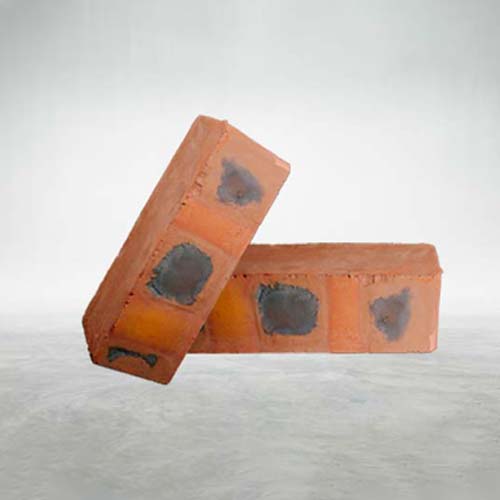 Auto Bricks Factory in Bangladesh | NB Auto Bricks Ltd.